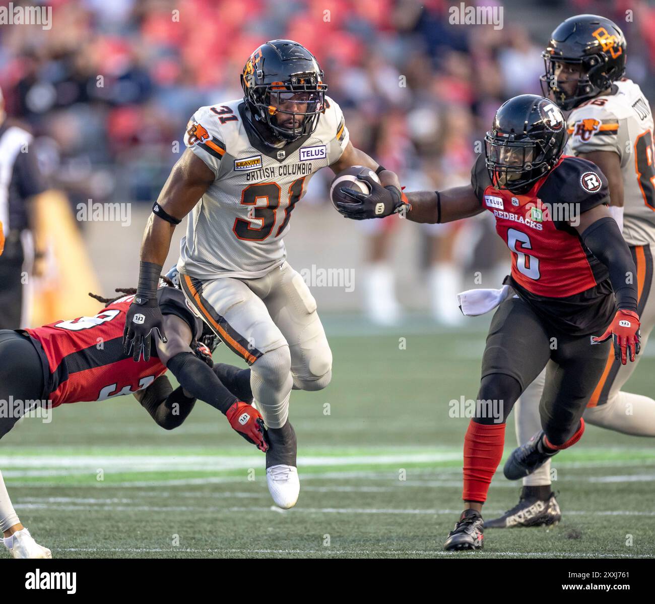 William stanback 2024 hi-res stock photography and images - Alamy
