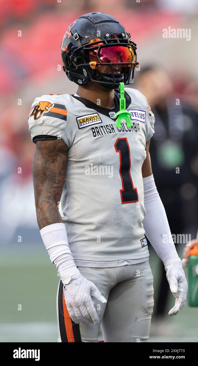 Garry peters lions hi-res stock photography and images - Alamy