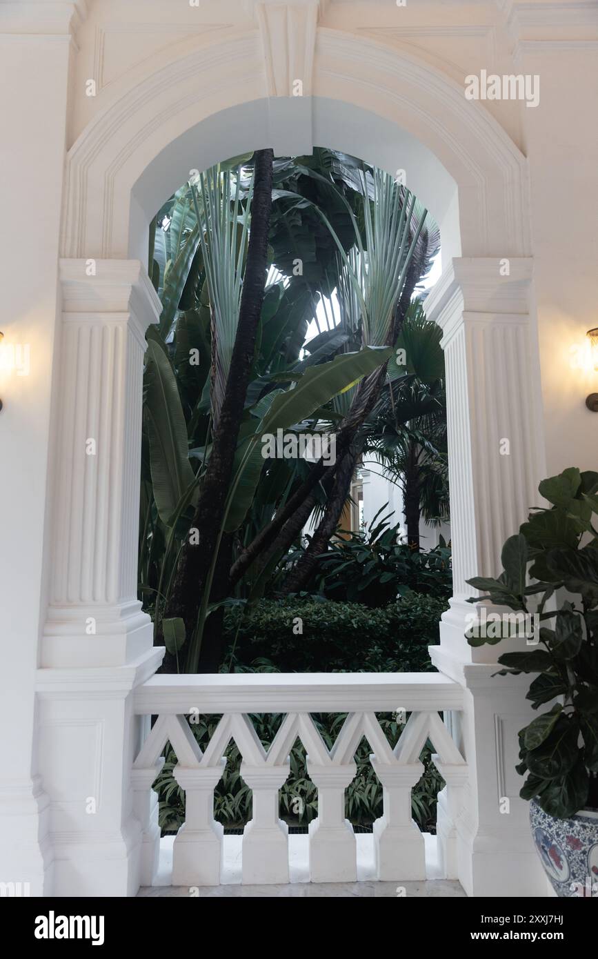 Palm tree framed by arches in the city of Singapore Stock Photo - Alamy