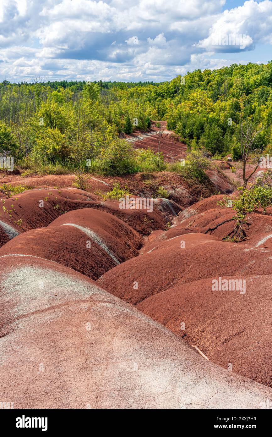 Formed 450 million years ago, the Cheltenham Badlands are a large area ...