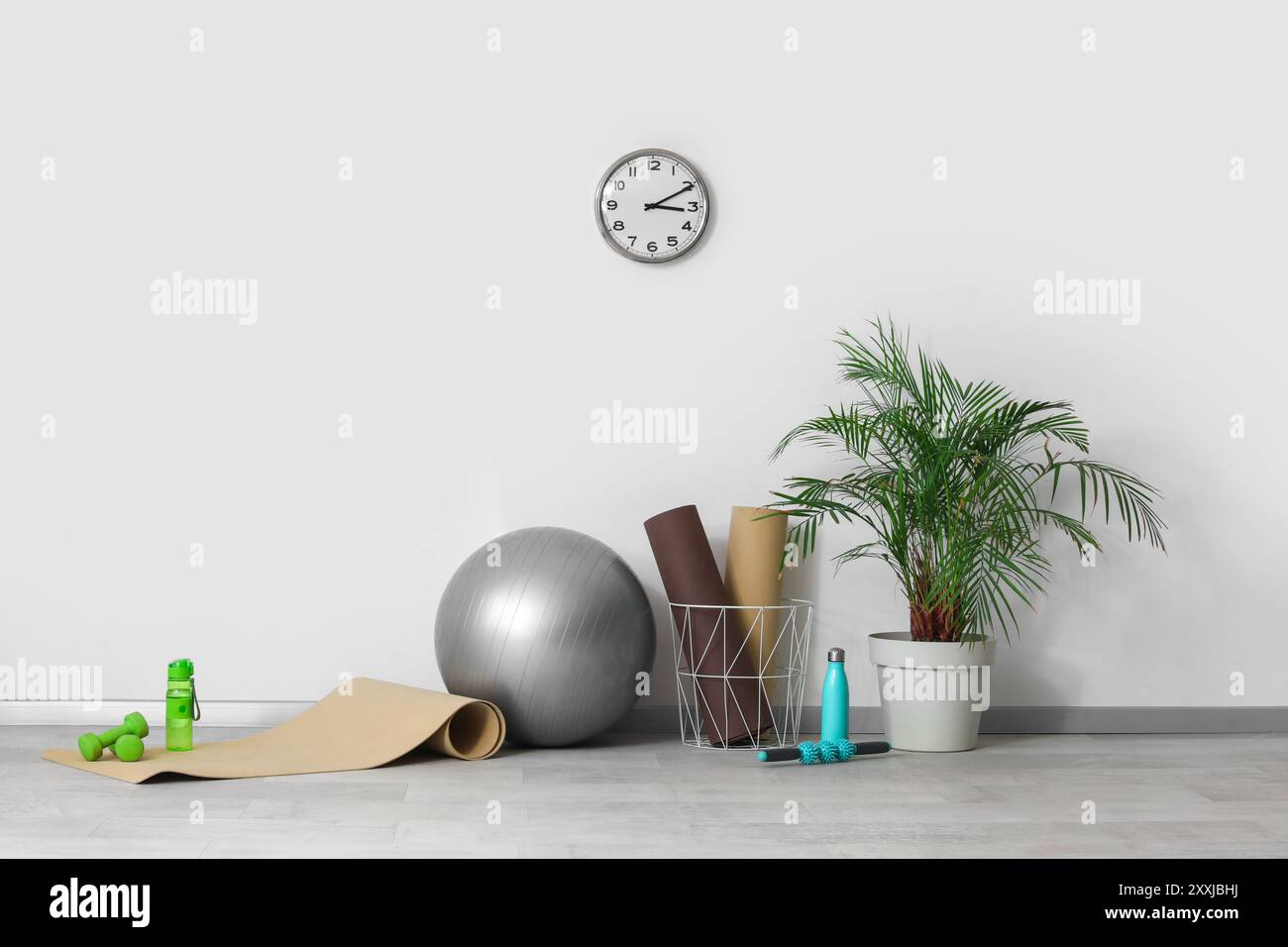 Interior of gym with fitball, fitness mats and palm tree Stock Photo ...