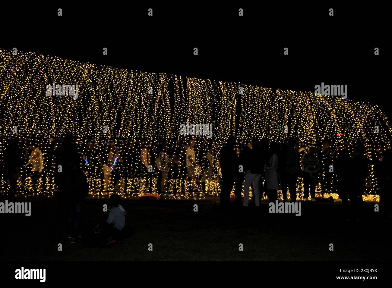 Cathedral Of Light Artist: Mandylights (Richard Neville (United Kingdom ...