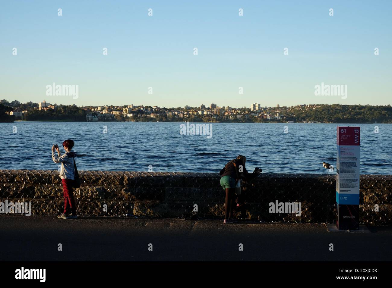 VIVID Sydney by day, a net of small lights light sculpture on the ...