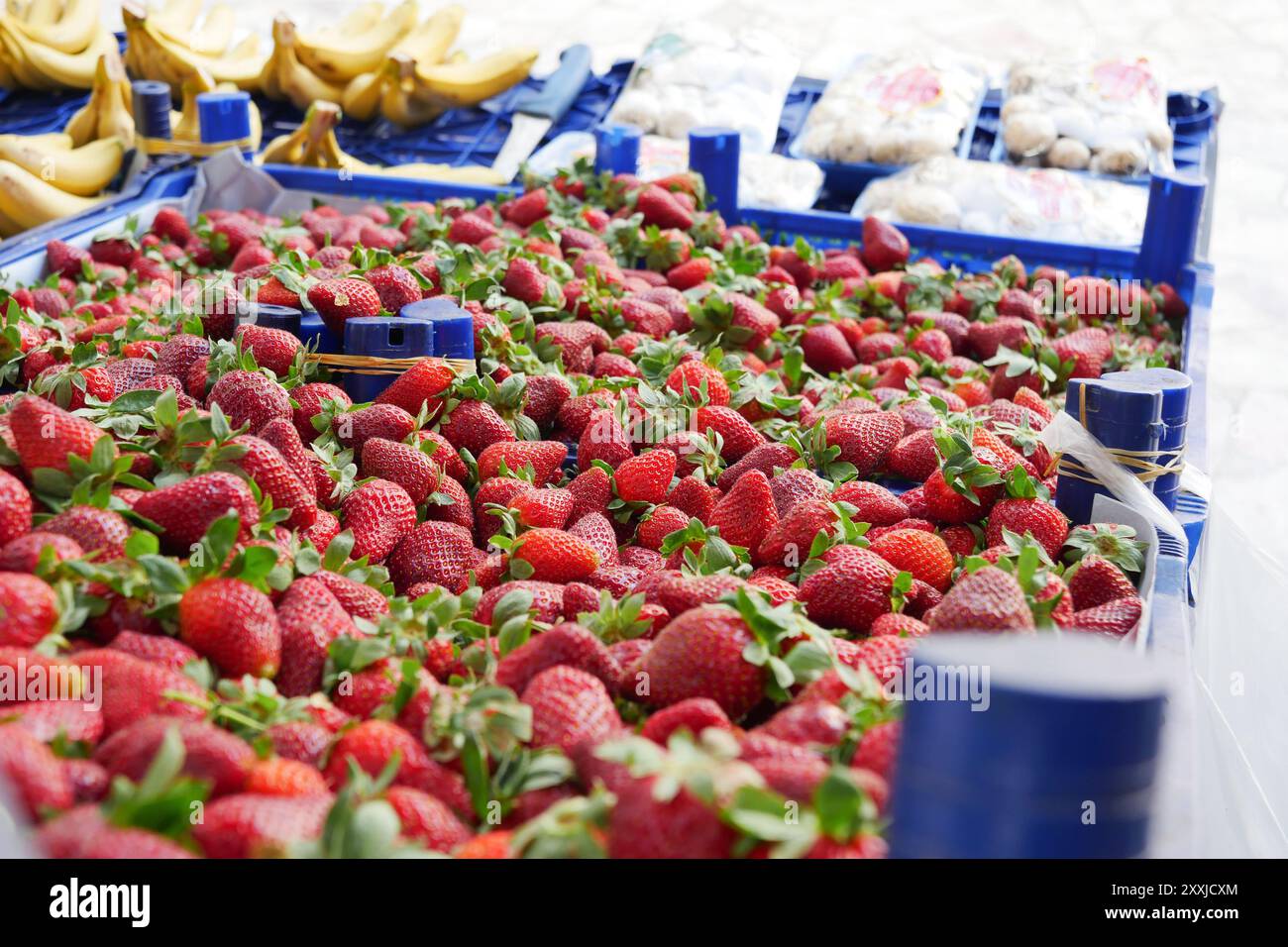 Strawberry boxes of freshly picked strawberries Stock Photo - Alamy