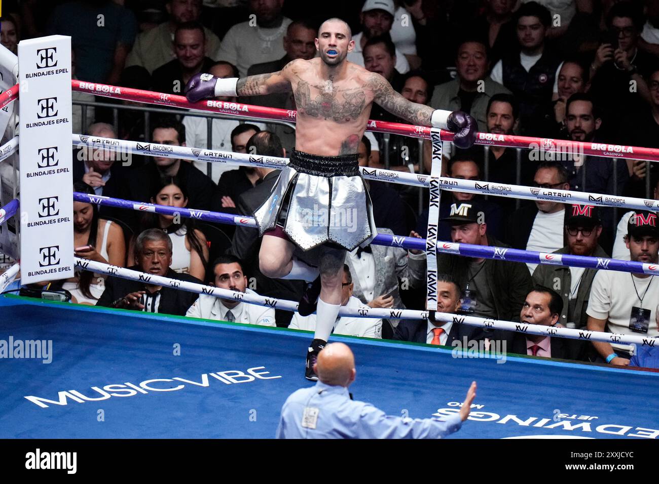 The referee counts for John Gotti III during an exhibition boxing match ...