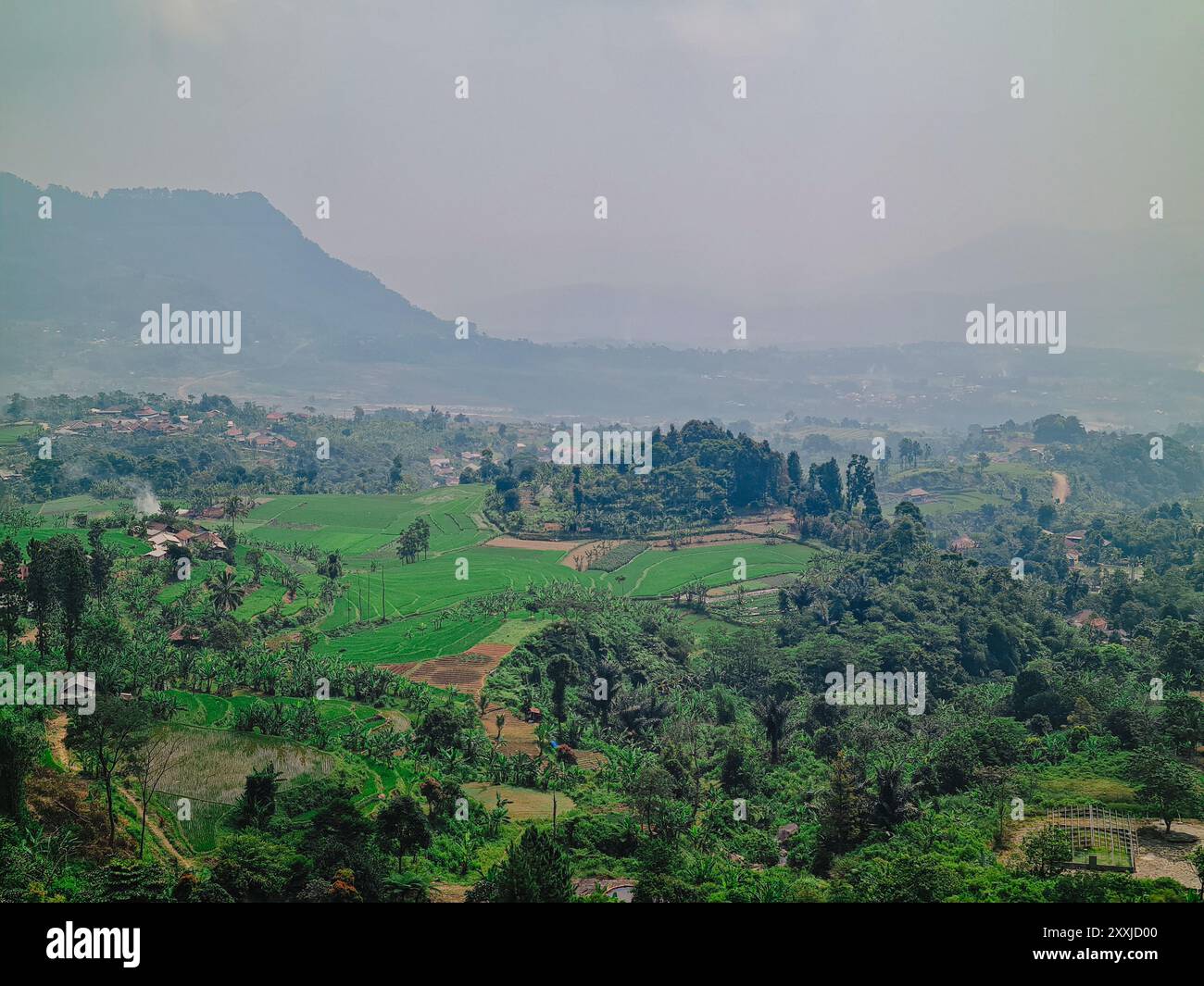 a view of green valley with rice fields and some village with mountain ...