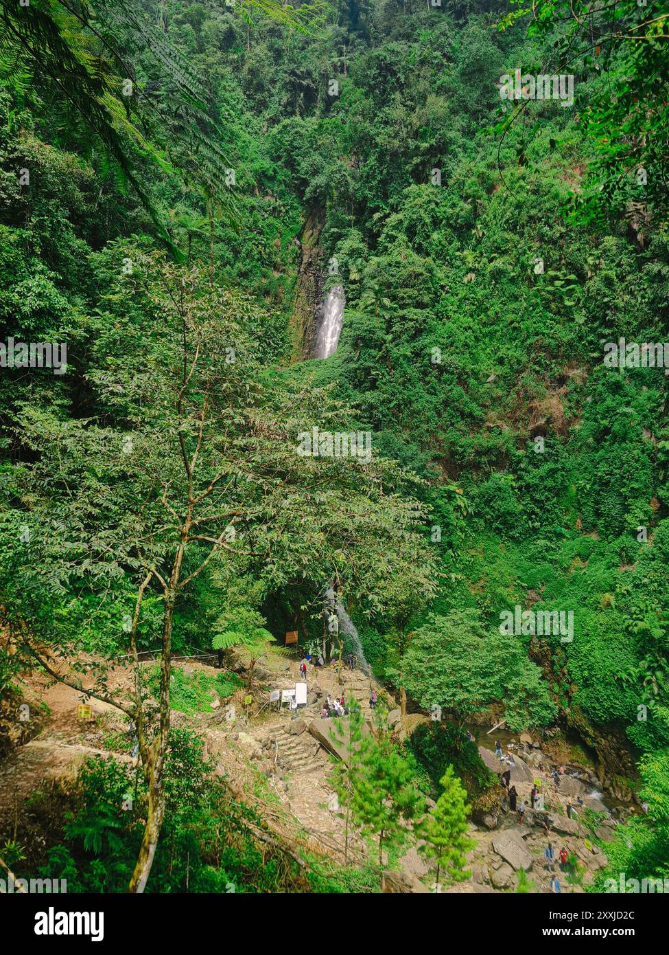 View of Lush rain forest at Bogor indonesia with waterfall in the ...