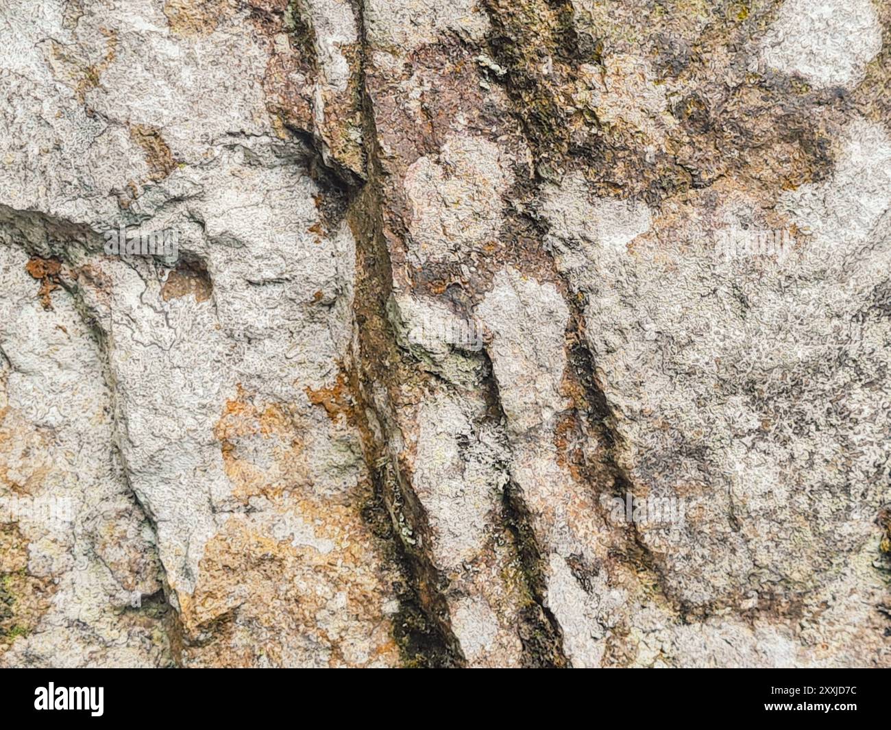 close up vief of detailed rock stone with some white mold stain, grunge ...