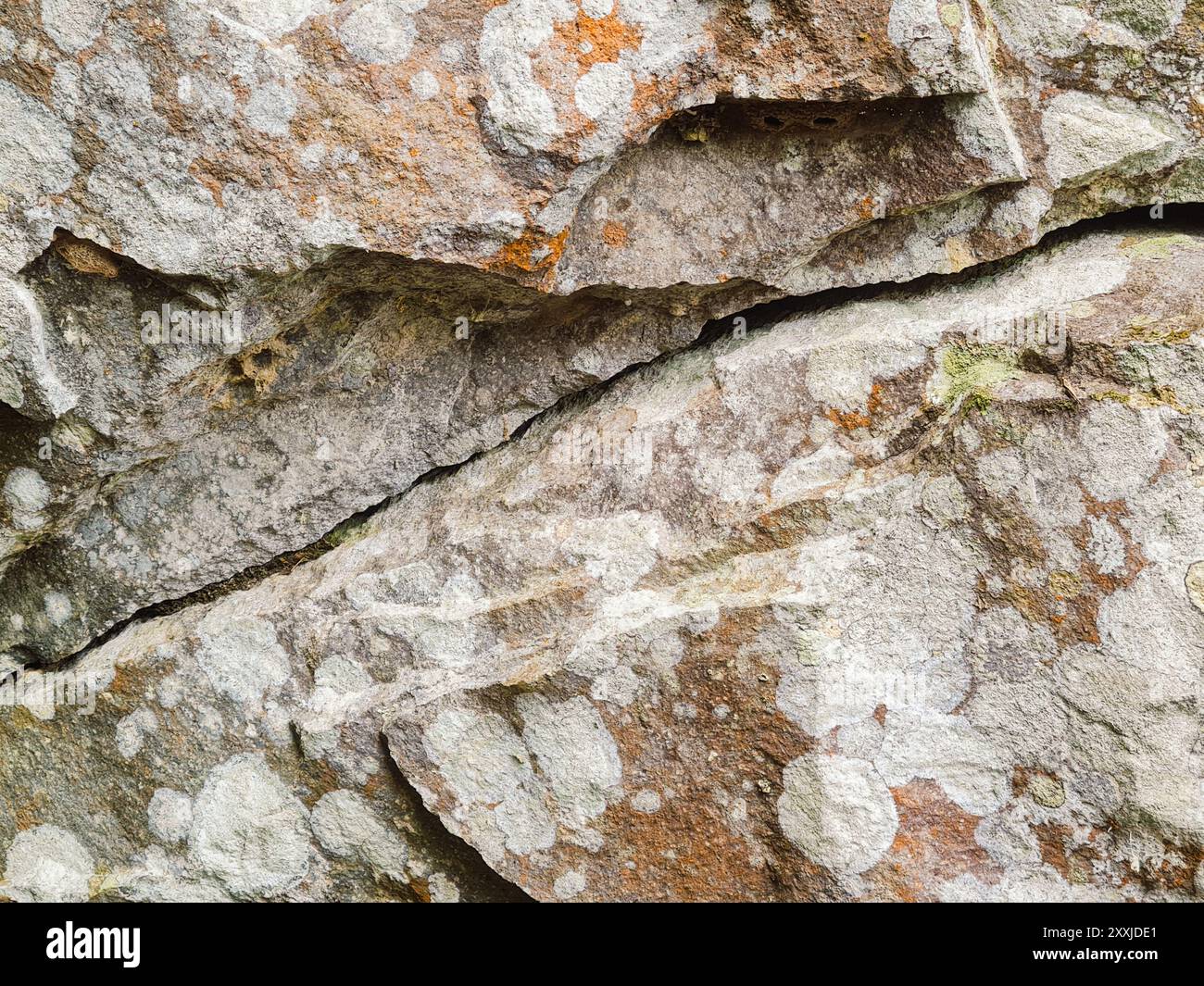 close up vief of detailed crack at rock stone with some white mold ...