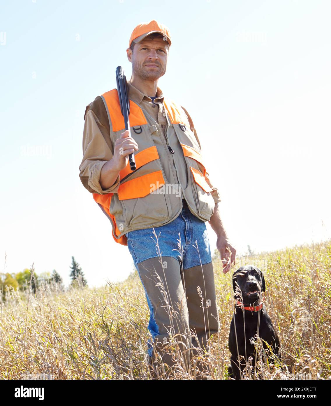 Man, dog and gun in outdoor for hunting, monitor park and search for ...