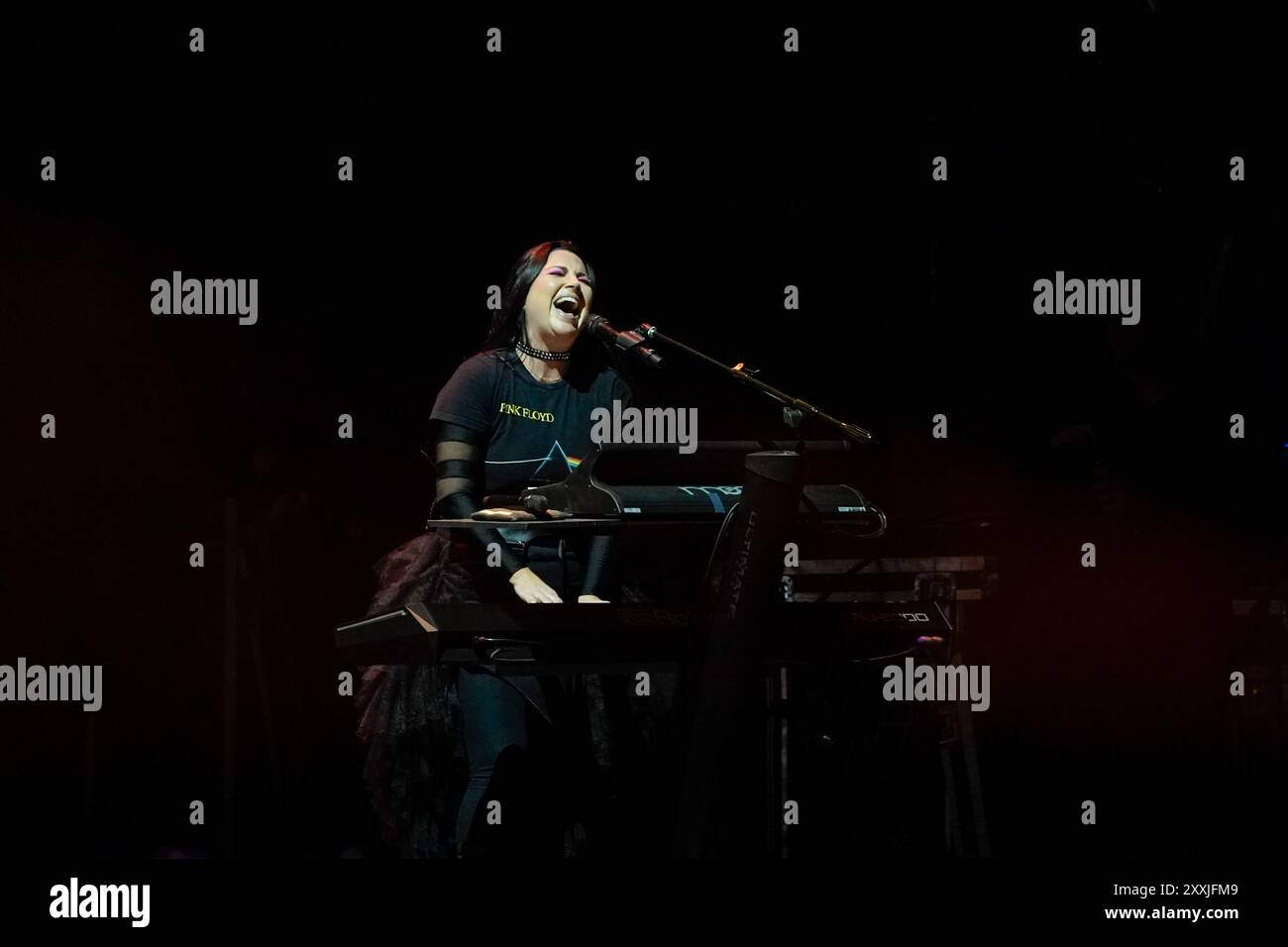 Amy Lee, lead singer of American rock band Evanescence, performs during ...