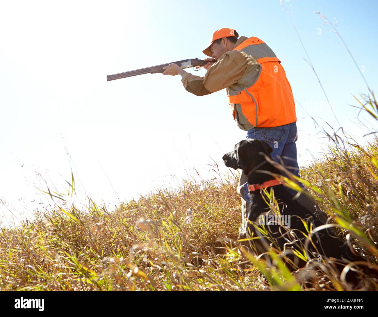 Man hunting with rifle in woods hi-res stock photography and images - Alamy