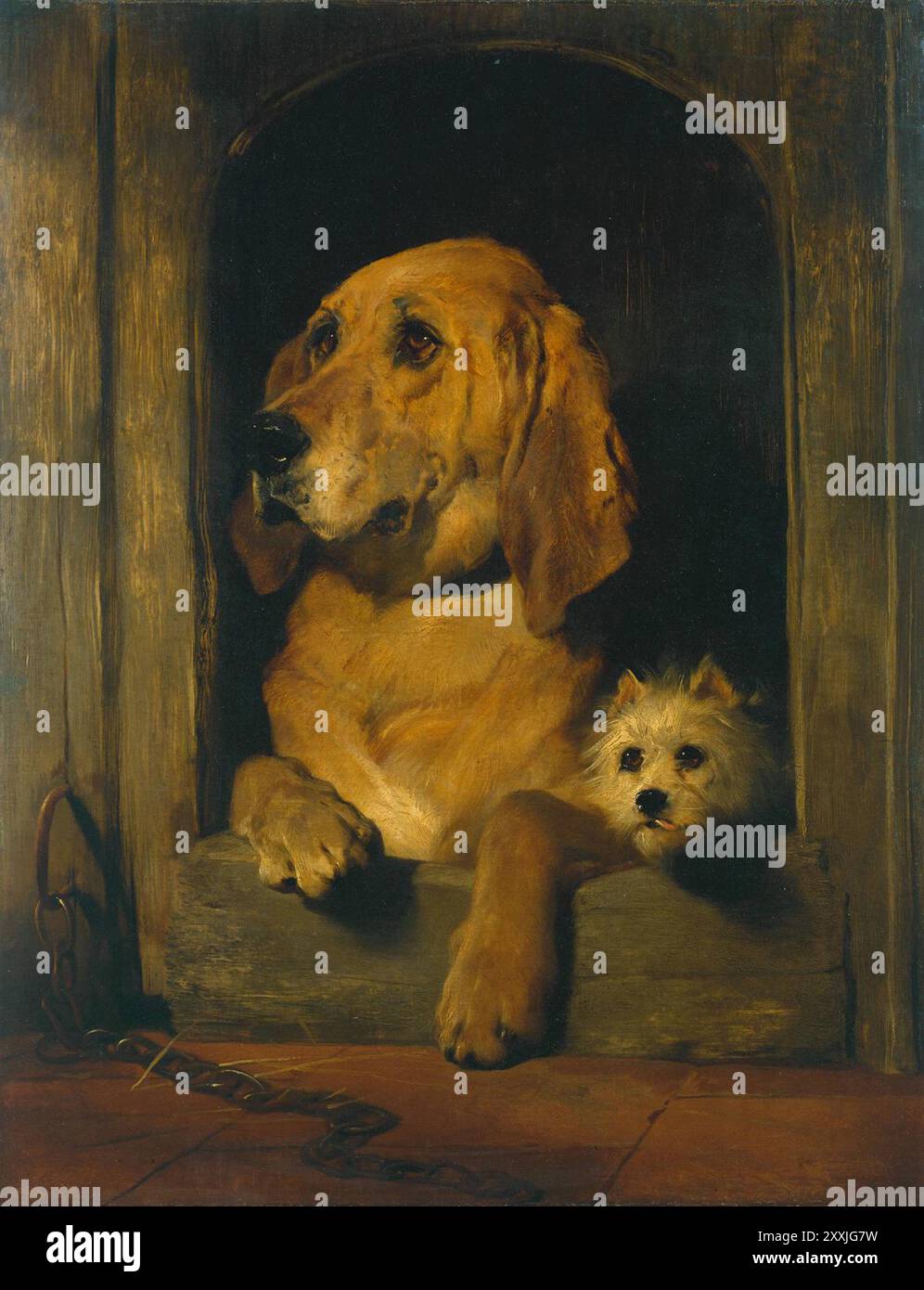 Dignity and Impudence 1839 by Sir Edwin Henry Landseer 1802-1873 Stock ...