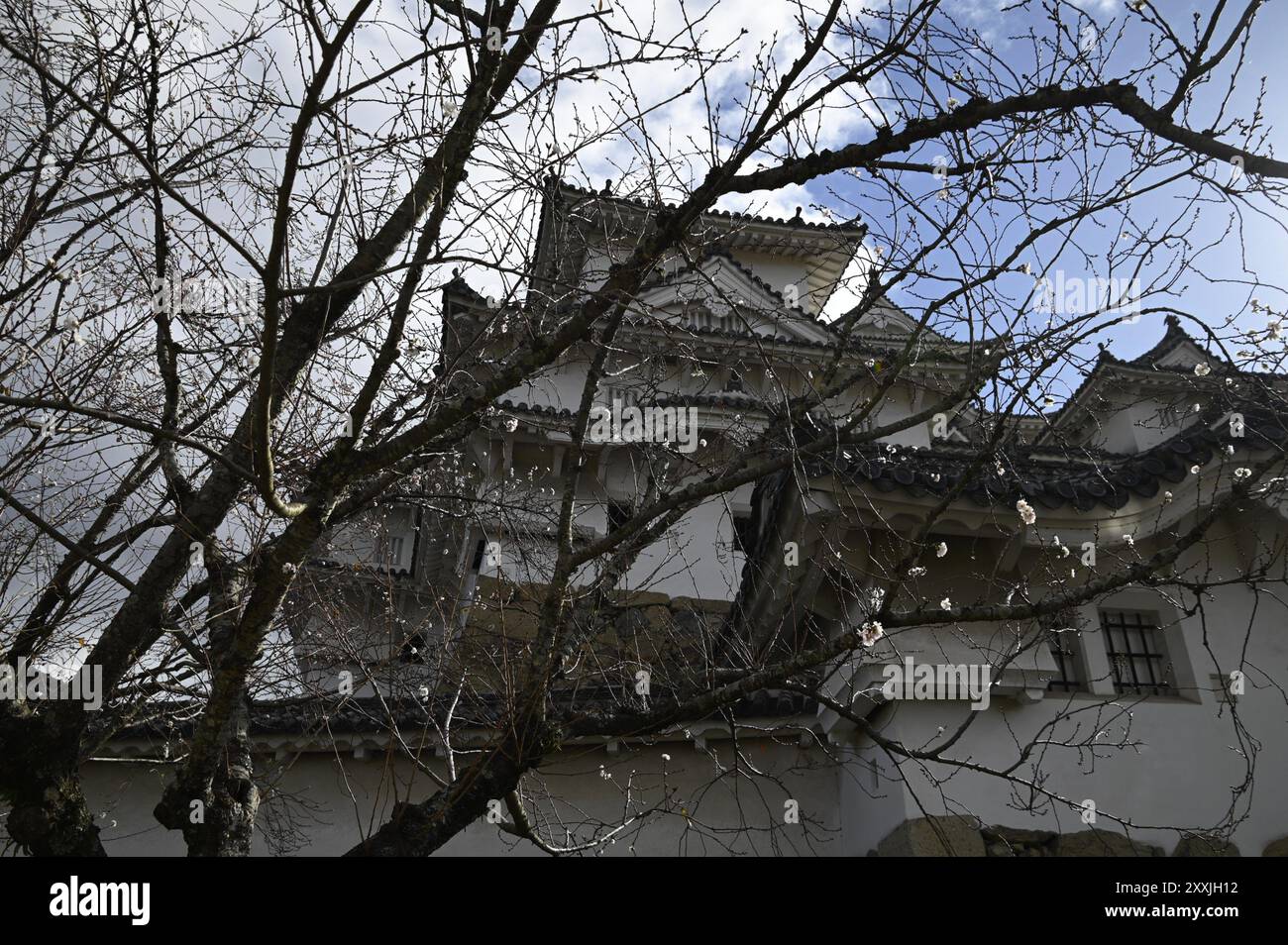 Scenic view of the striking Main Keep curved gables of Himeji-jō the ...