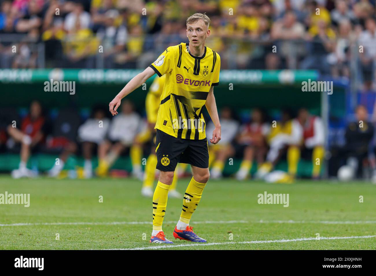 Hamburg, Deutschland. 17th Aug, 2024. firo: 08/17/2024 Football, Soccer ...