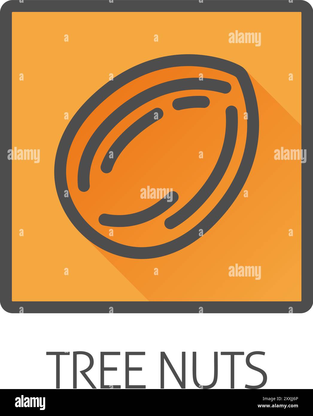 Tree Nut Almond Food Allergen Allergy Icon Concept Stock Vector Image ...