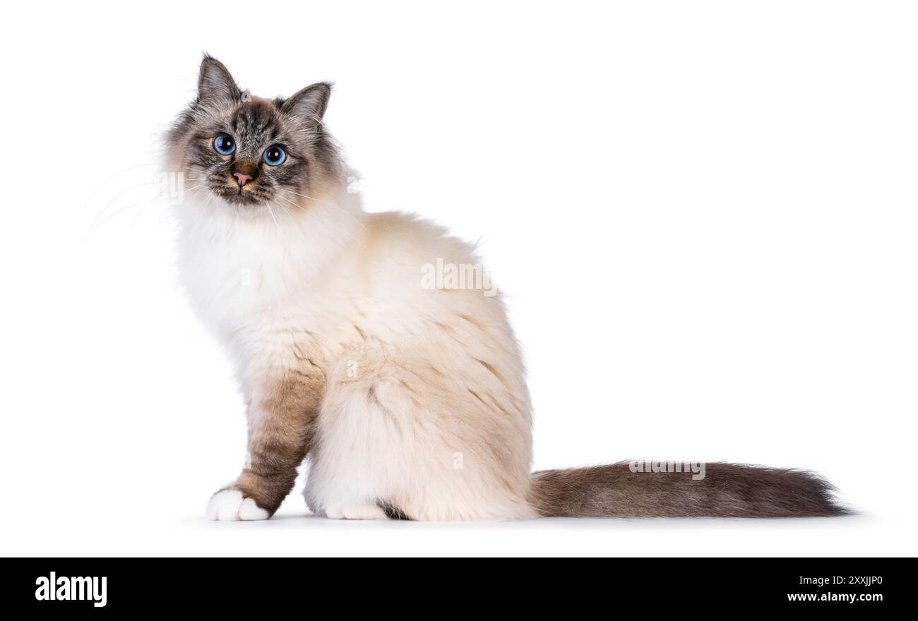 Side tilt close up young hi-res stock photography and images - Alamy