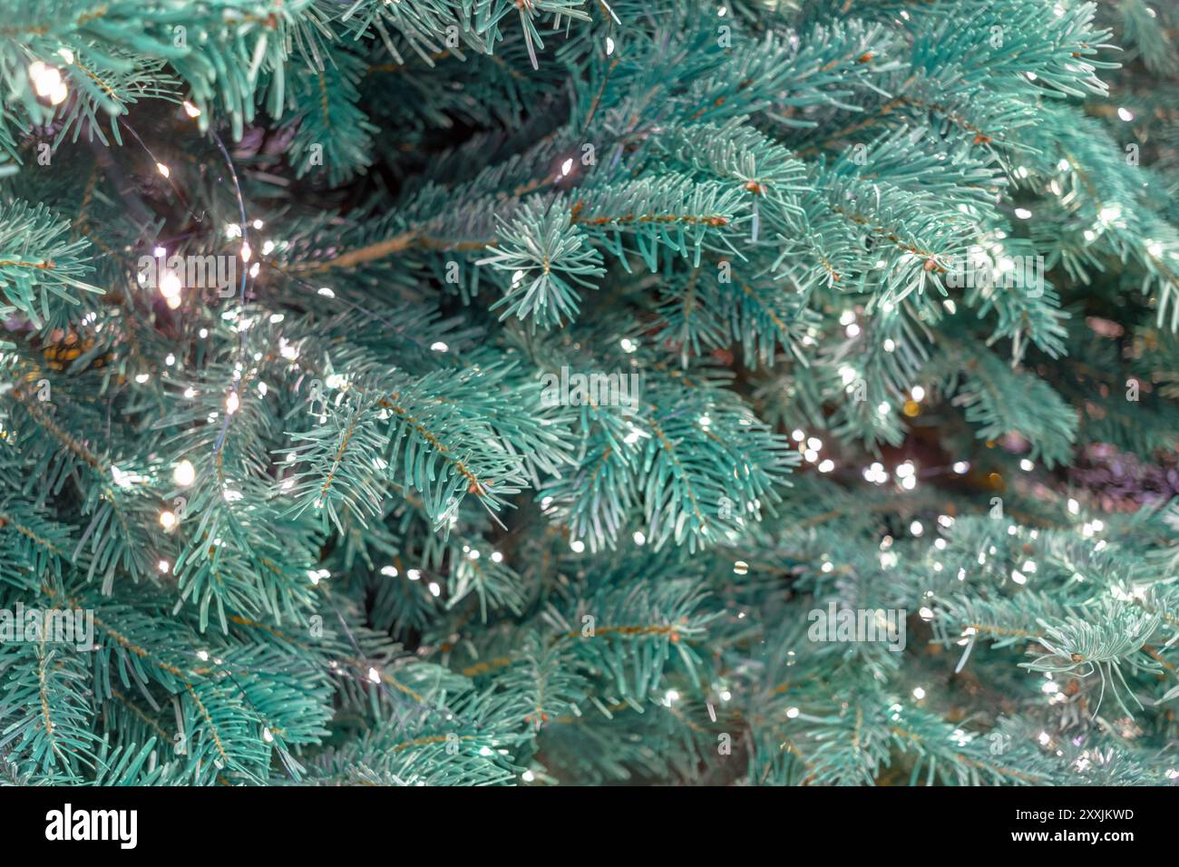 Fluffy fir tree christmas hi-res stock photography and images - Alamy