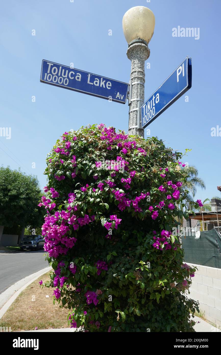 Toluca Lake, California, USA 23rd August 2024 Toluca Lake Avenue on ...