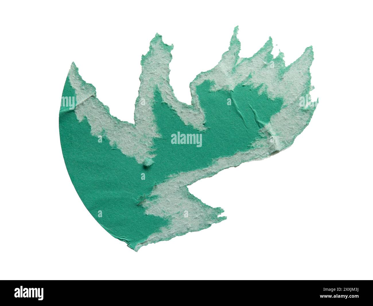 Torn green sticker paper on white background with clipping path Stock ...
