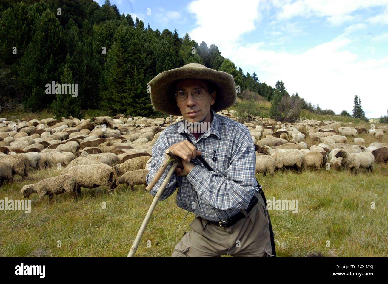 sheep farming and breeding as an agricultural business sheep farming as ...