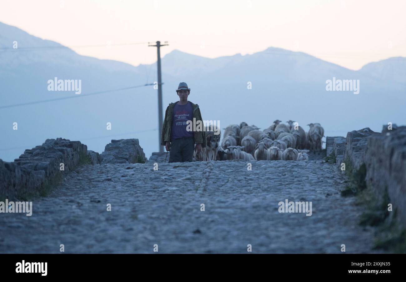 sheep farming and breeding as an agricultural business sheep farming as ...