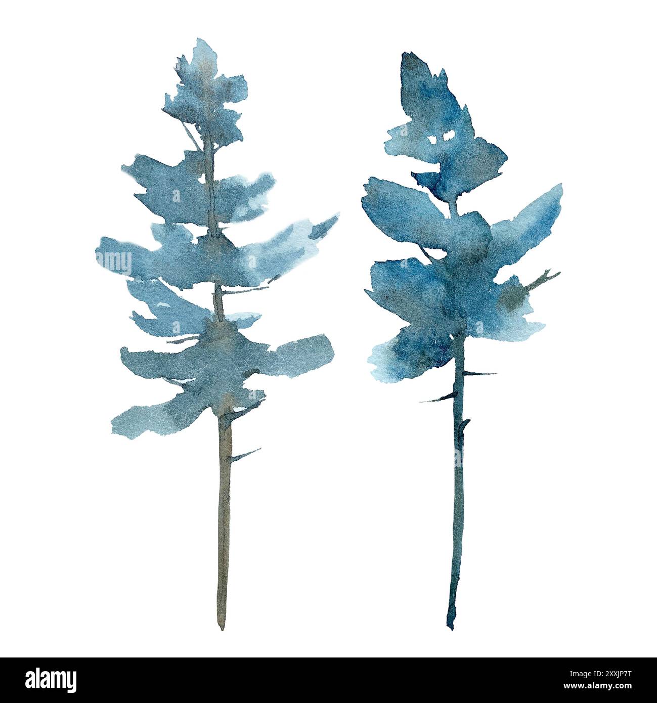 Pine trees sketch set. Hand drawn watercolor illustration with conifer ...