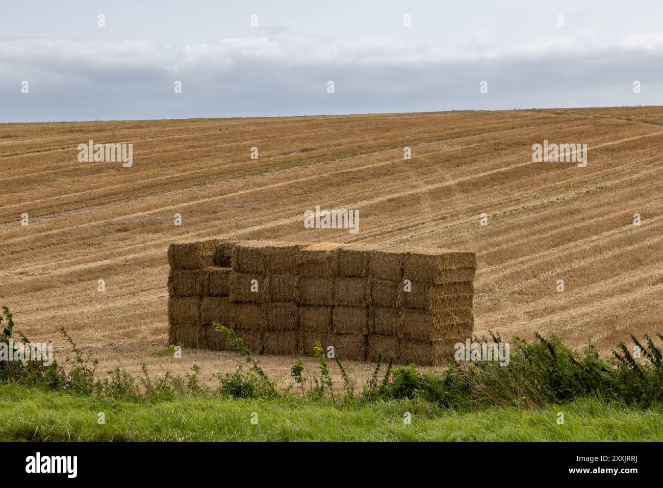 A haystack in the countryside after harvesting Stock Photo - Alamy
