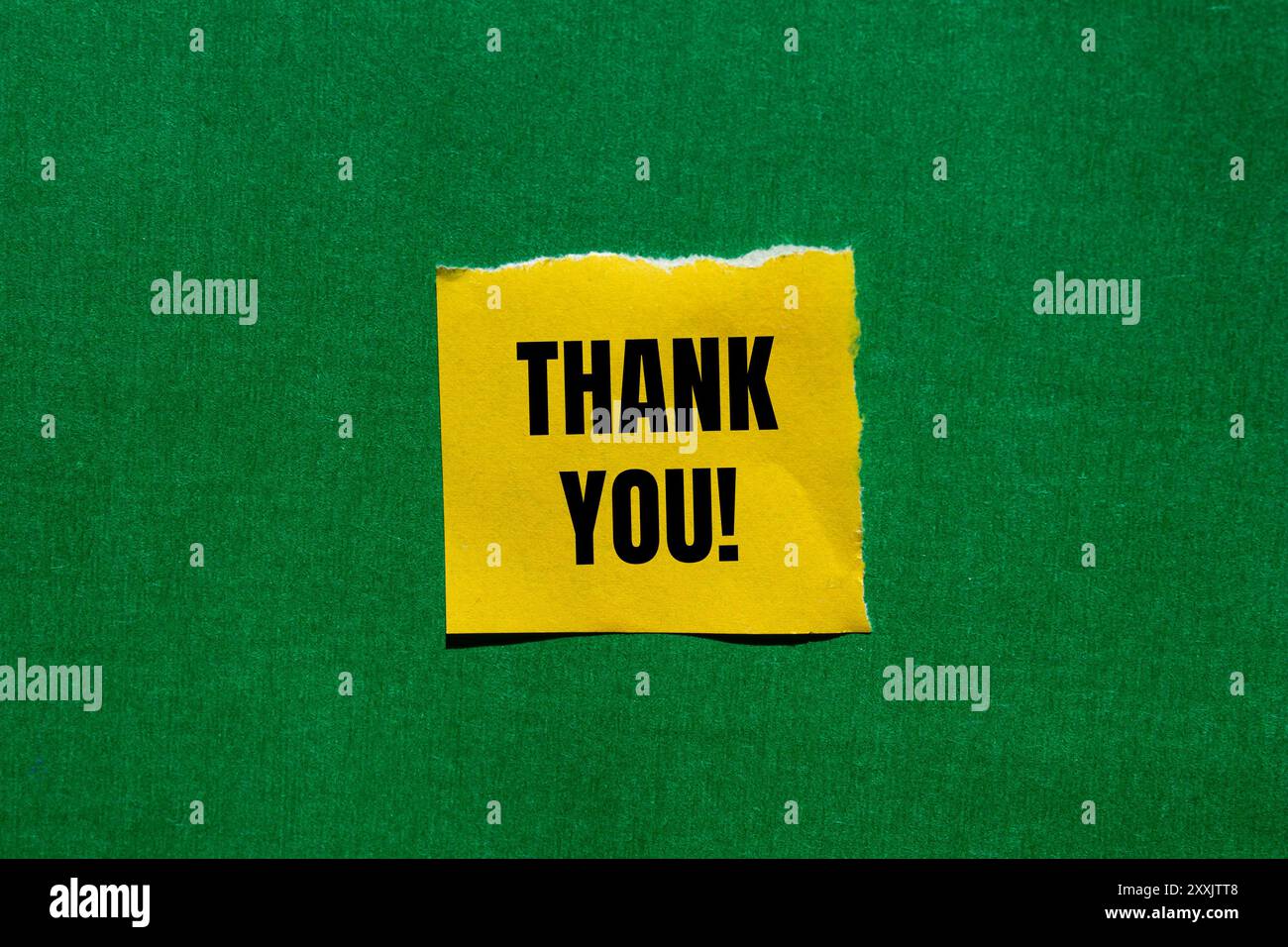 Thank you message written on ripped torn yellow paper piece with green ...