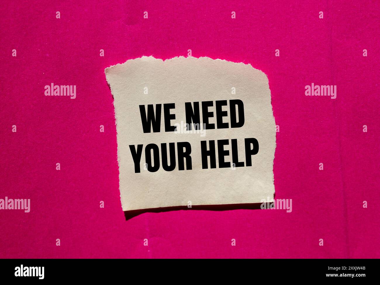 We need your help message written on ripped torn paper piece on pink background. Conceptual we ...