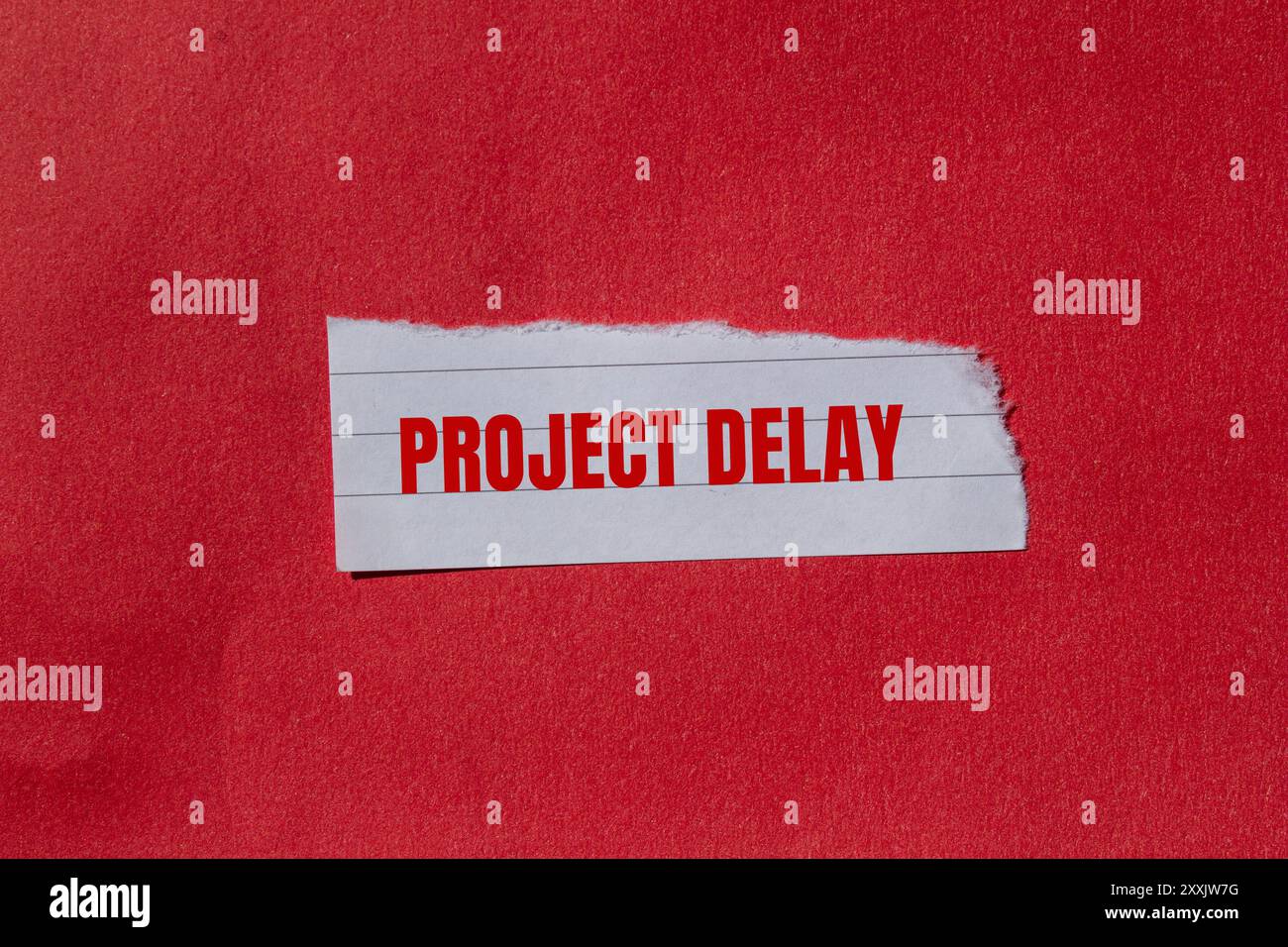 Project delay message written on ripped torn paper piece with red ...