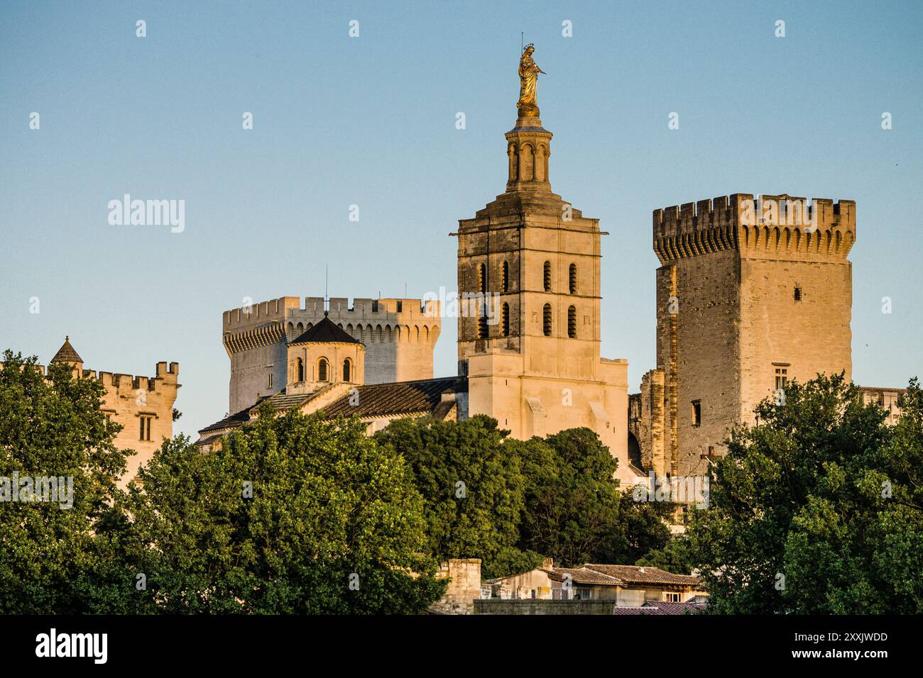 Palace of the Popes, medieval gothic, Avignon, France, Europe Stock ...