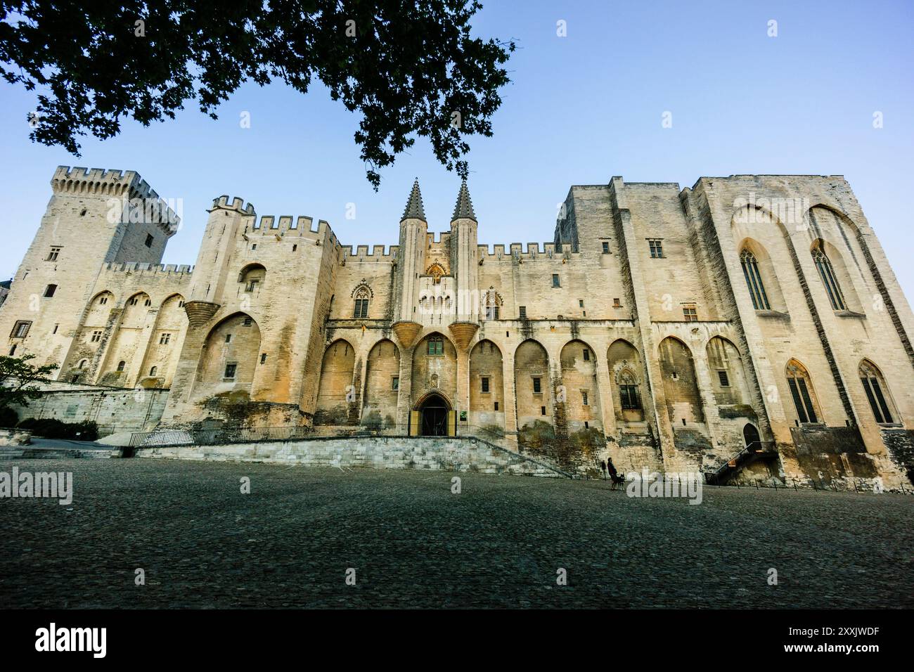 Palace of the Popes, medieval gothic, Avignon, France, Europe Stock ...