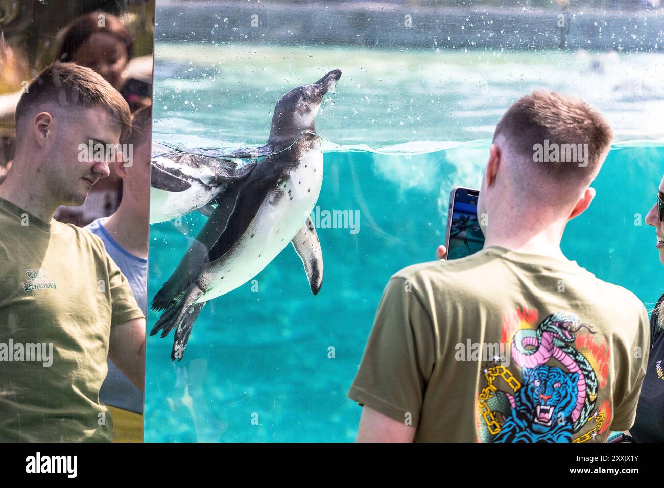 Human_life hi-res stock photography and images - Alamy