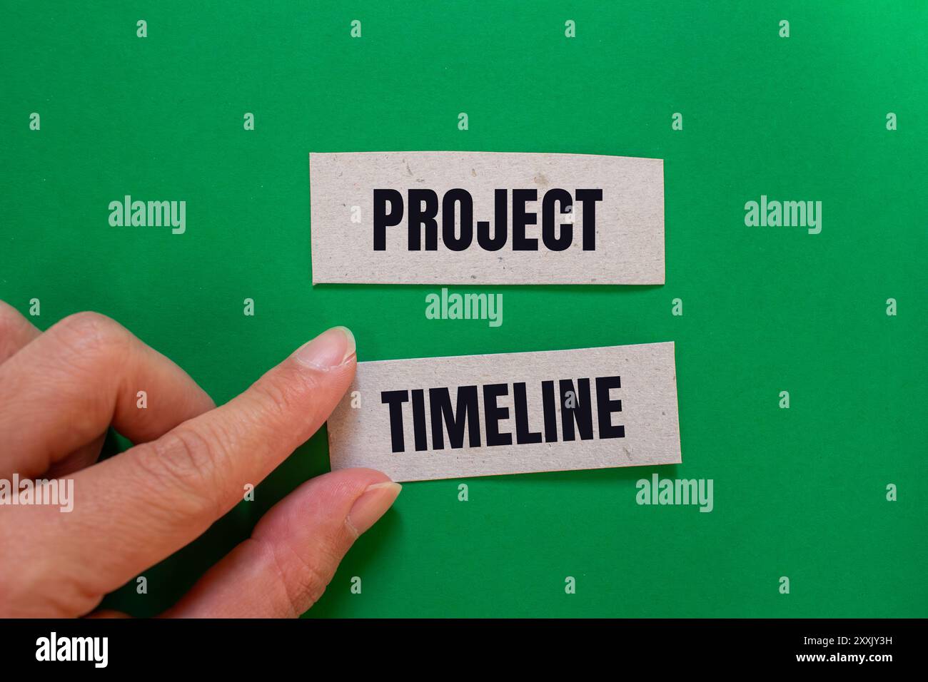 Project timeline message written on paper pieces with green background ...