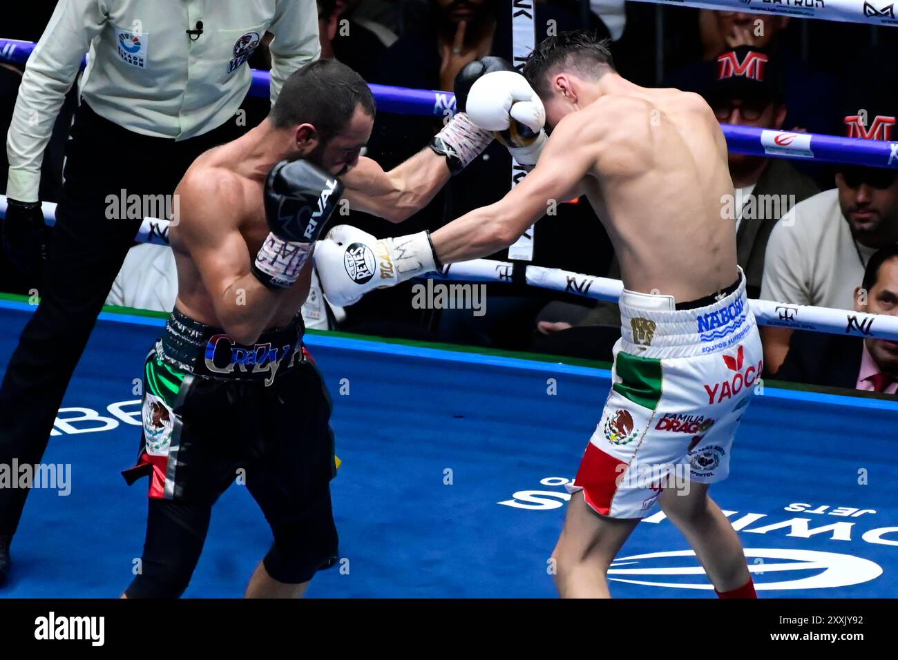 Mexico City, Mexico. 24th Aug, 2024. David Picasso of Mexico fights ...