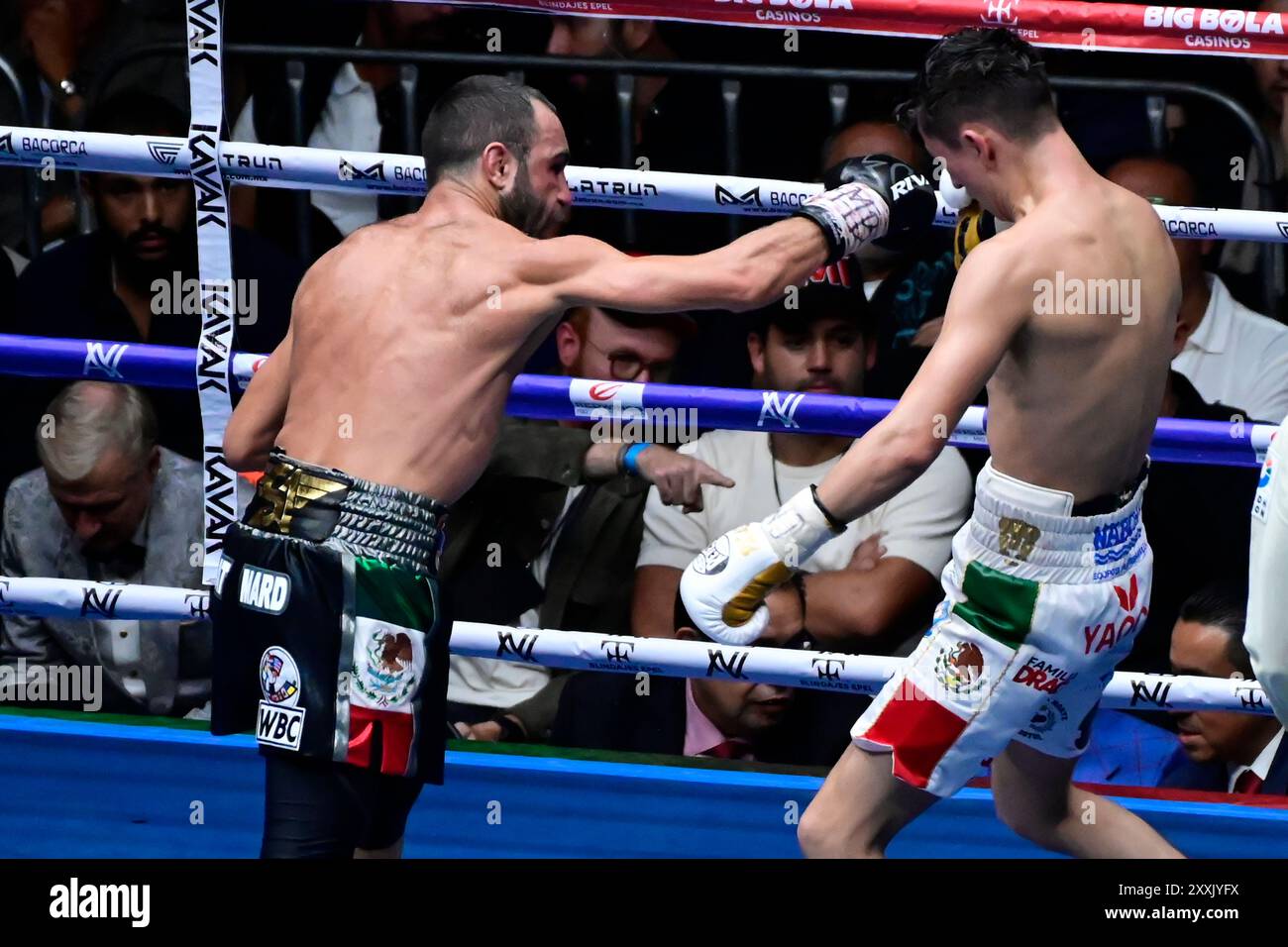 Mexico City, Ciudad de Mexico, Mexico. 24th Aug, 2024. David Picasso of ...