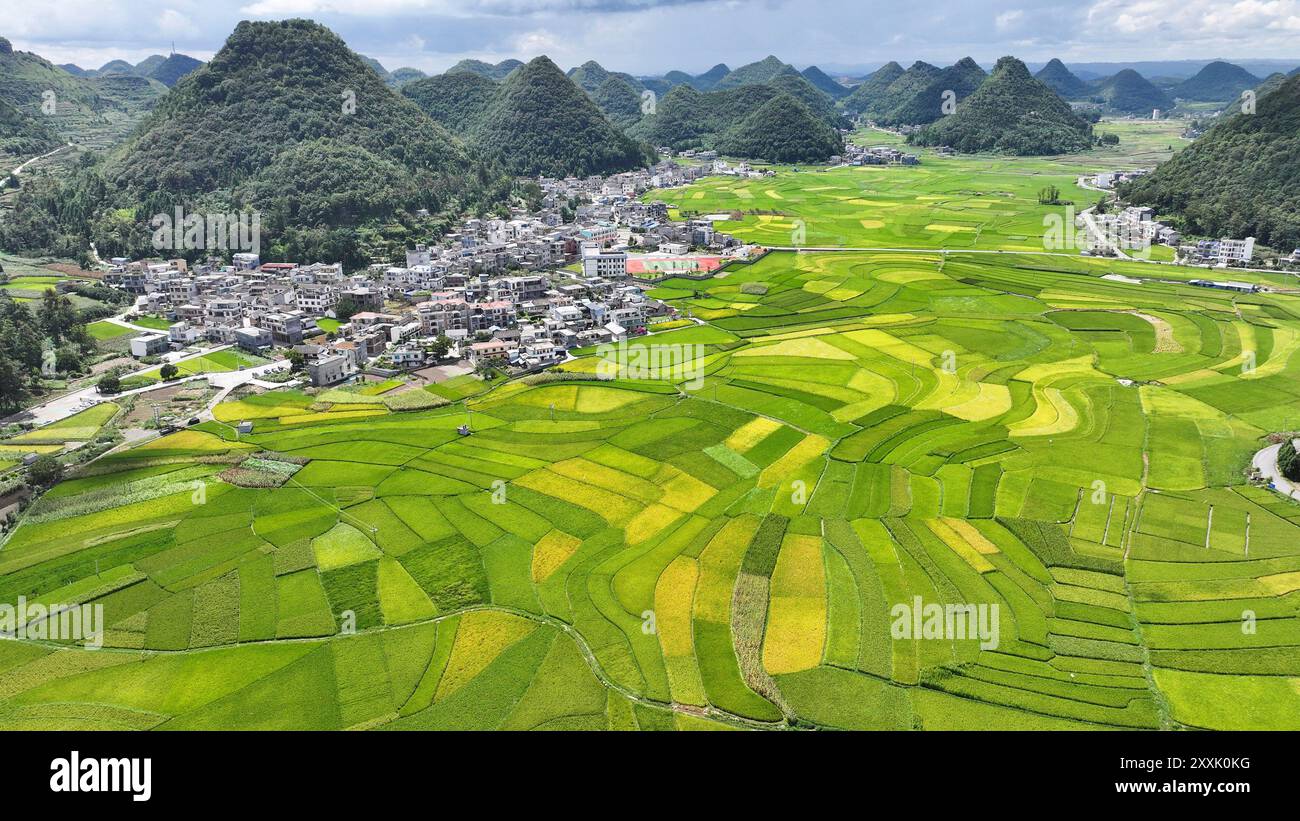 An aerial view of rice paddies, houses, and hills in a Karst landform ...