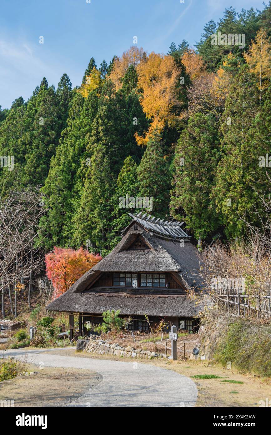 Traditional Japanese house with thatched roof at Oishi petit pension ...