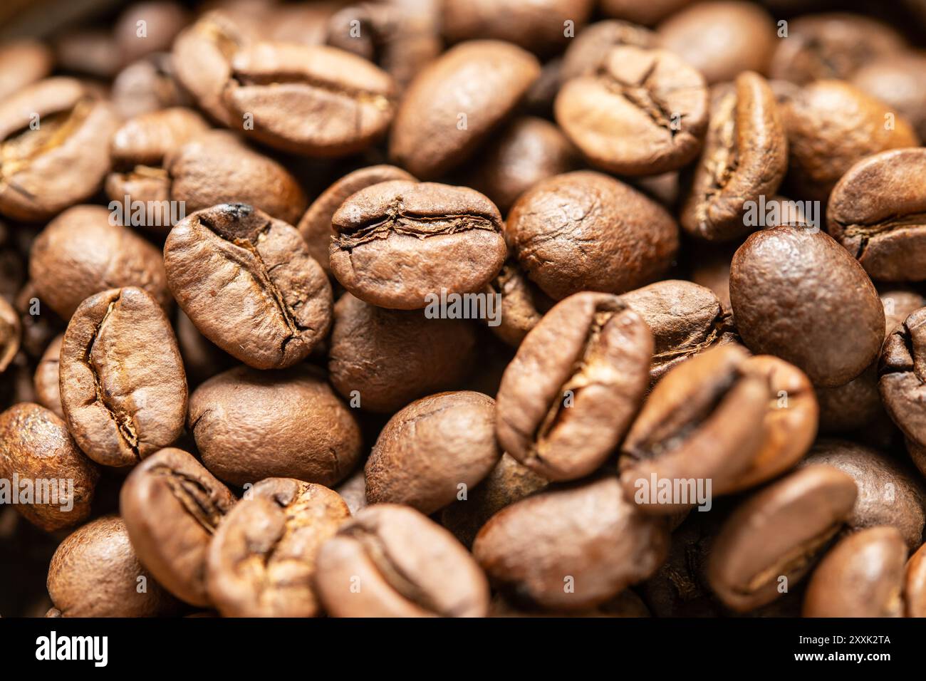 Blend of natural materials hi-res stock photography and images - Alamy