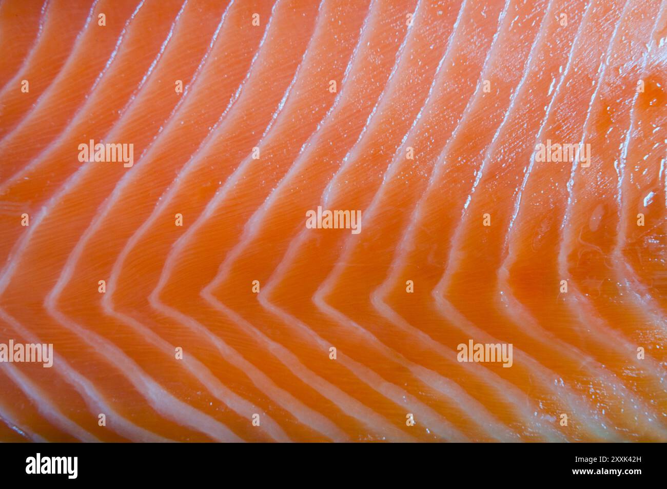 Omega 3 pescado hi-res stock photography and images - Alamy