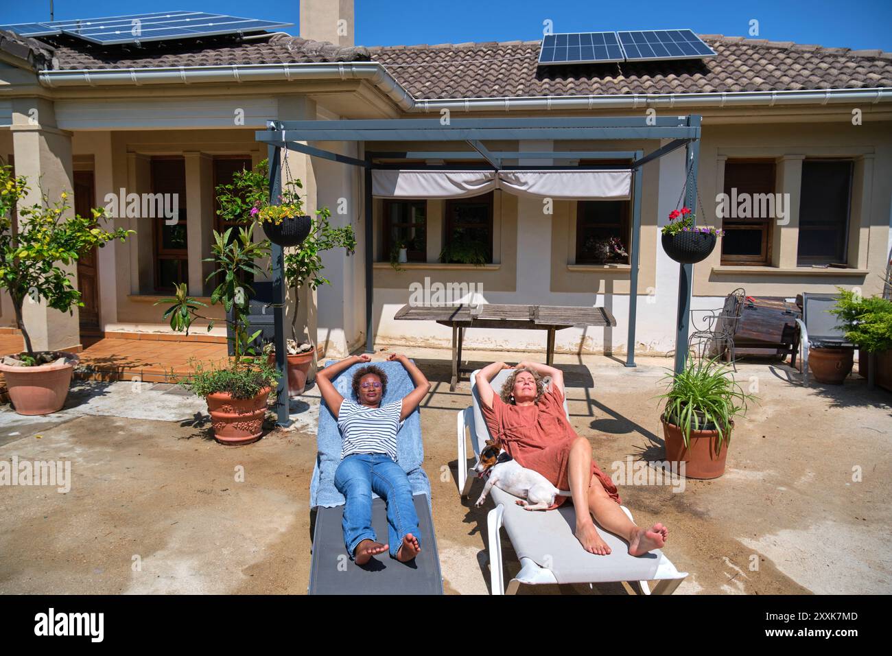 Two women sunbathing in a sunny backyard with a small dog Stock Photo ...