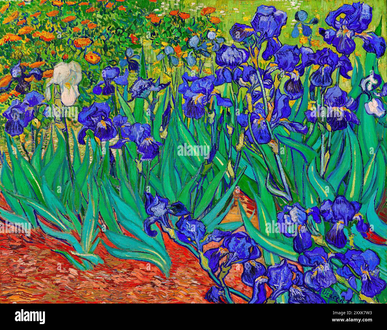 Vincent Van Gogh's Irises (1889). Famous painting, original from the J. Paul Getty Museum ...
