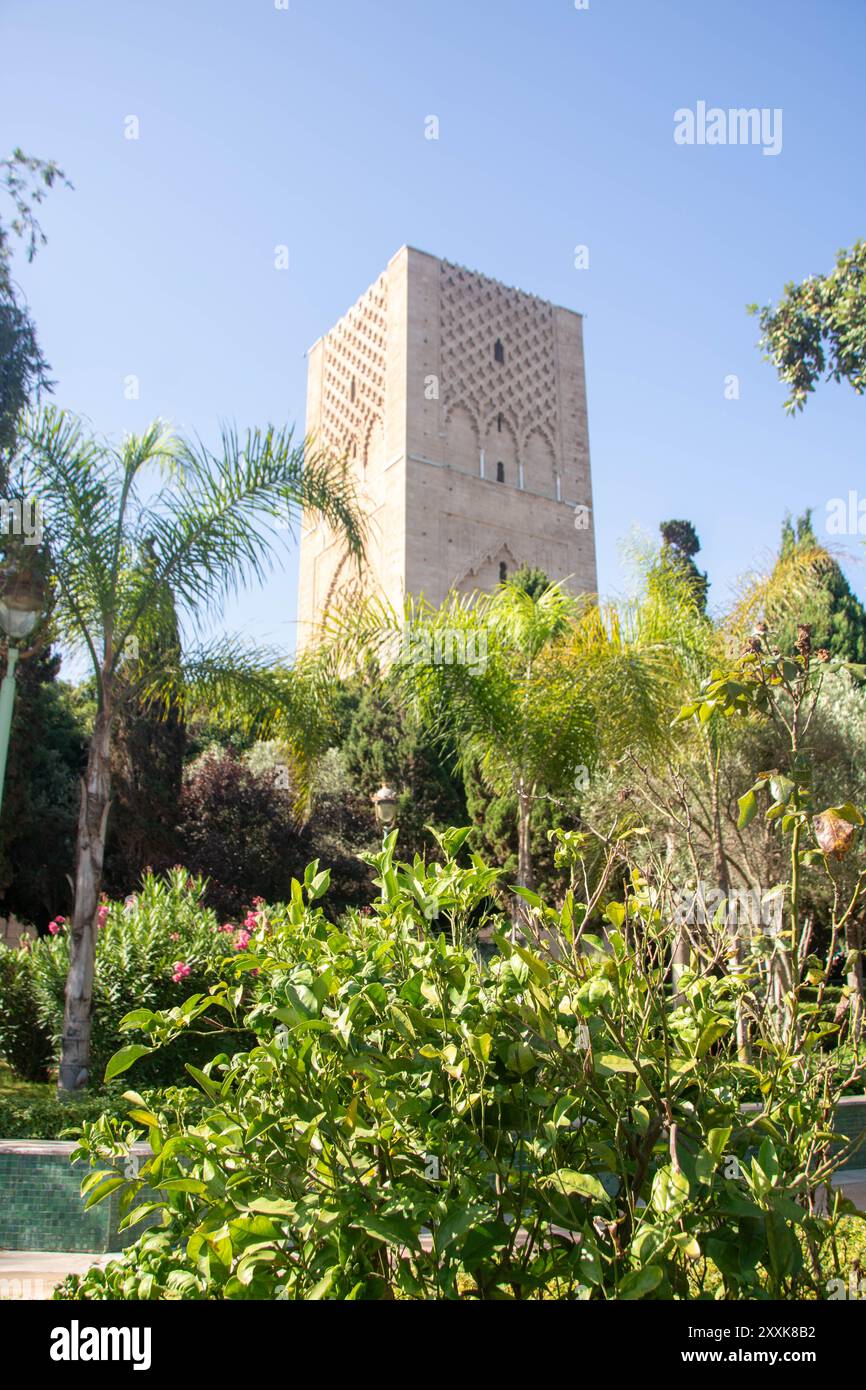 At Rabat Morocco, On 04, august, 2024, Hassan tower , the minaret of an ...