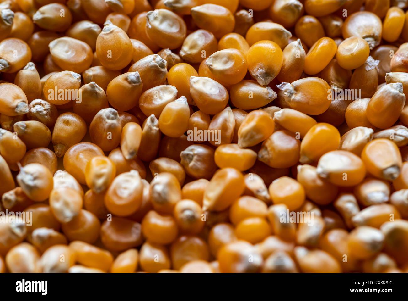 Dried popcorn hi-res stock photography and images - Alamy
