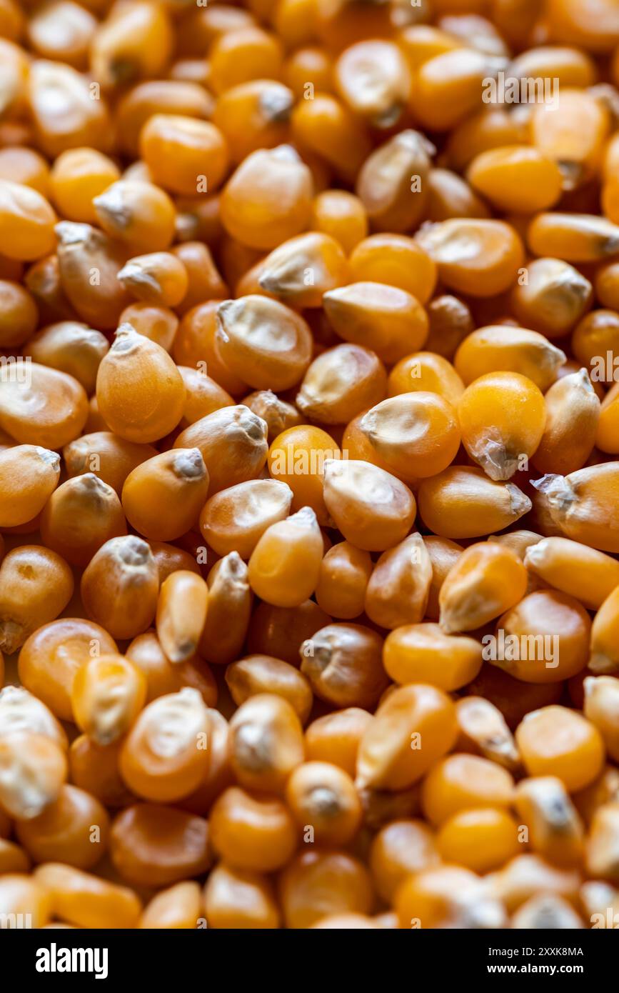Corn kernels texture hi-res stock photography and images - Alamy