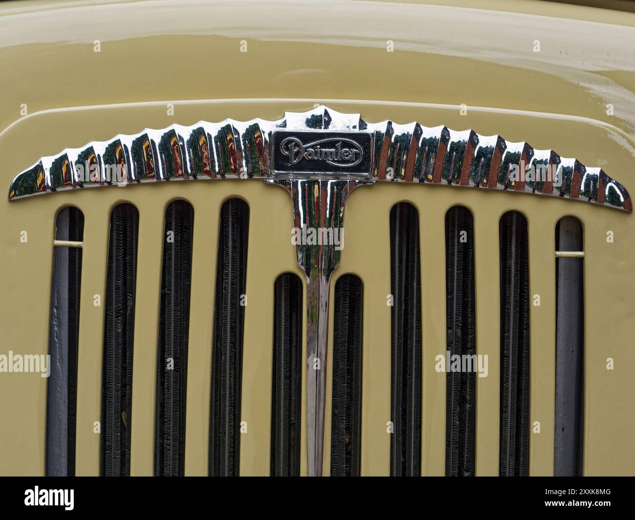 Daimler logo on the front of an old bus grill, UK Stock Photo - Alamy