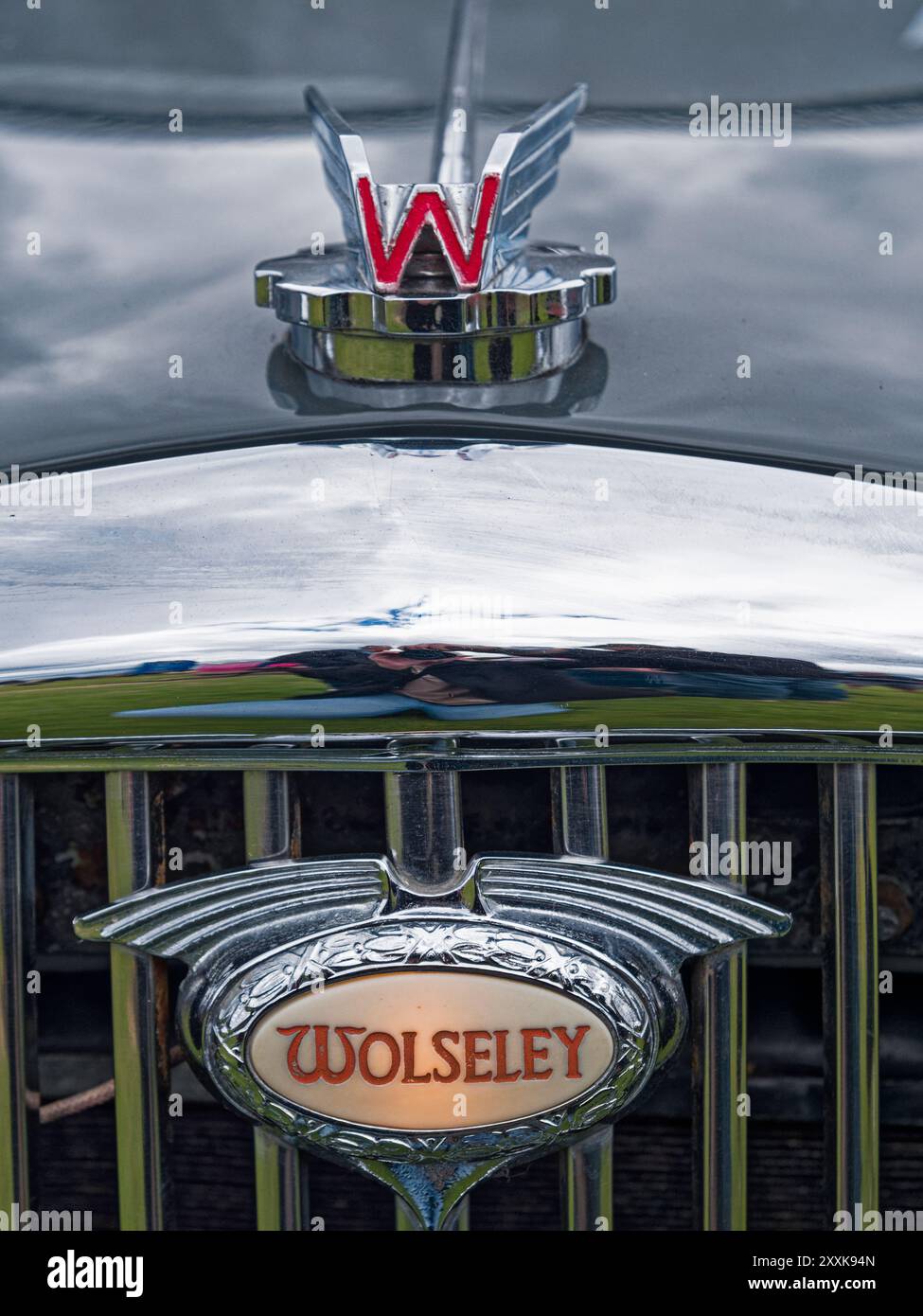 Emblem and logo of the British car manufacturer Wolseley, UK Stock ...