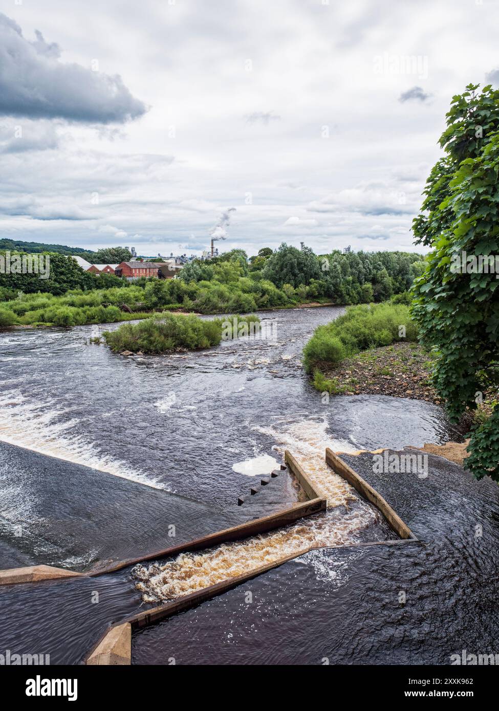 River Tyne at Hexham, Northumberland with fish passage Stock Photo - Alamy