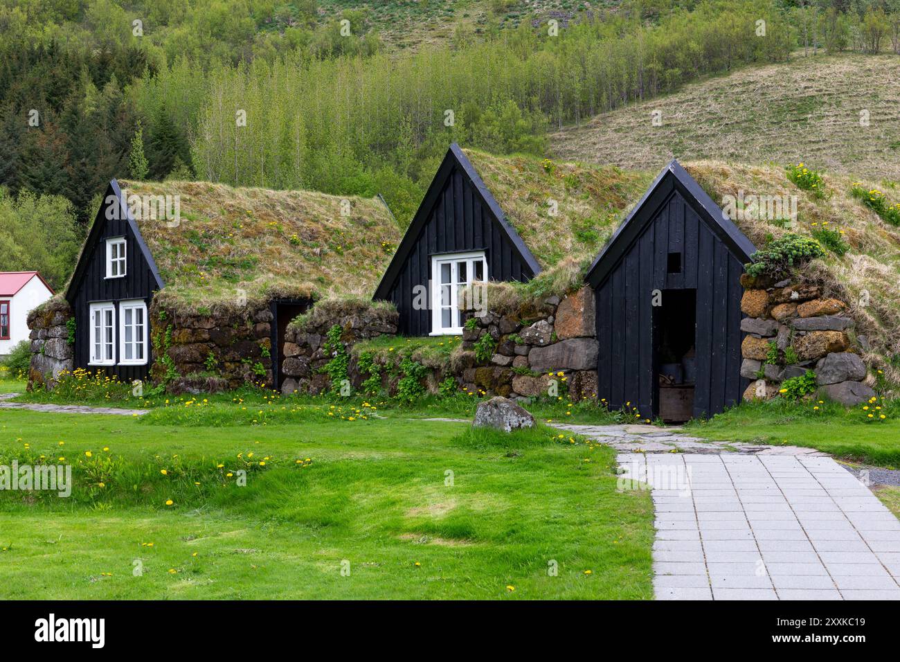 Traditional turf house village in Skogar Open Air Museum, black wooden ...